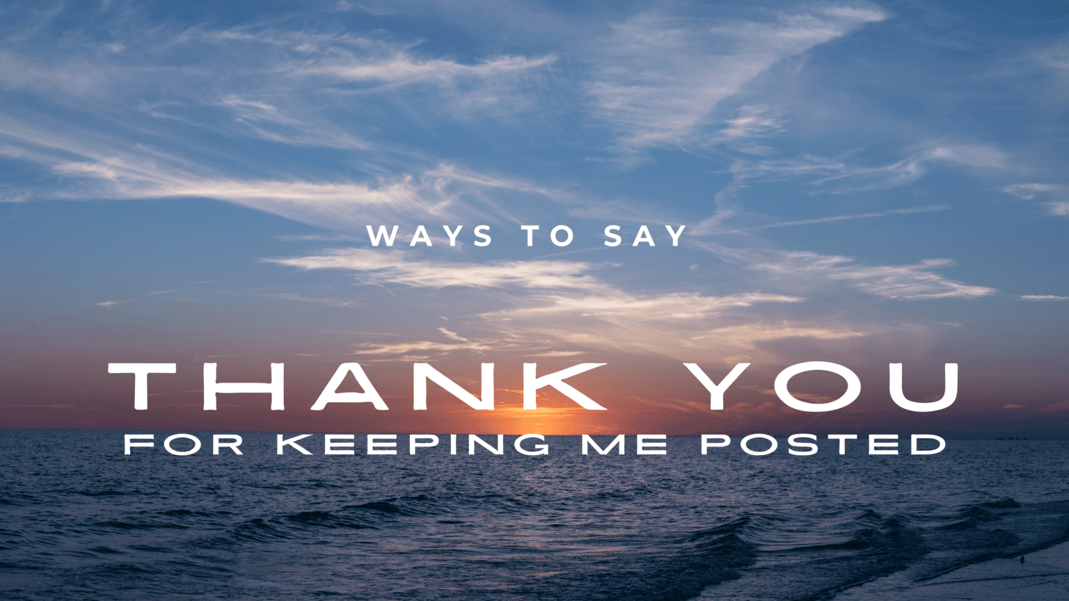 170+ Formal Ways To Say "Thank You For Keeping Me Posted" 2026