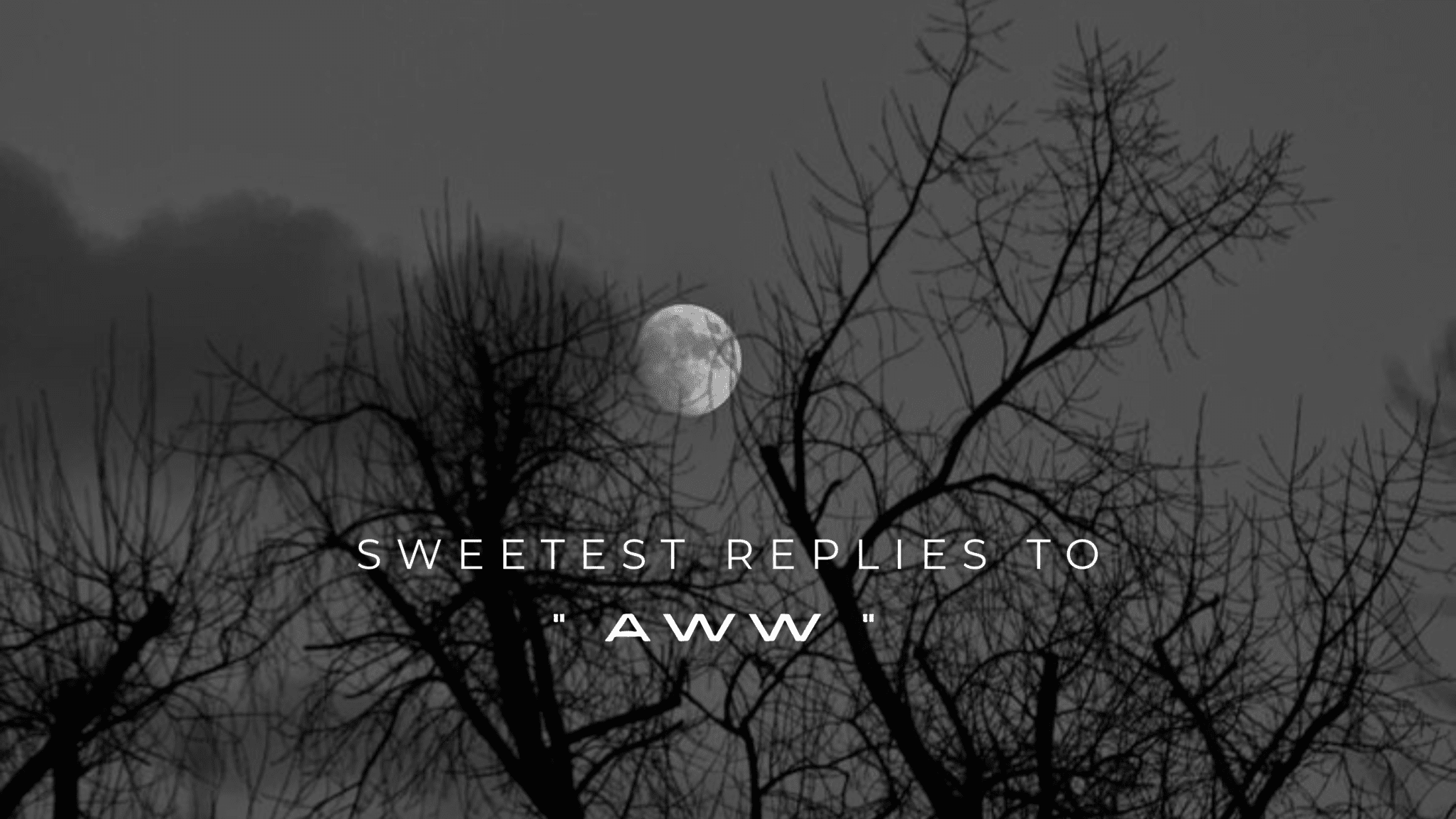 How to Respond to "Aww" with the Sweetest 200+ Replies