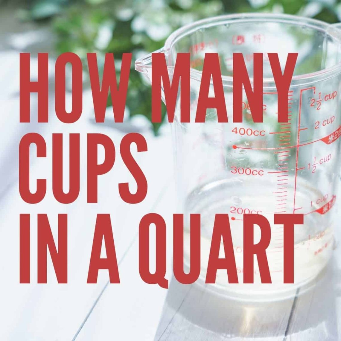 How Much is 6 Quarts in Cups: Easy Conversion Explained - Vibro Media