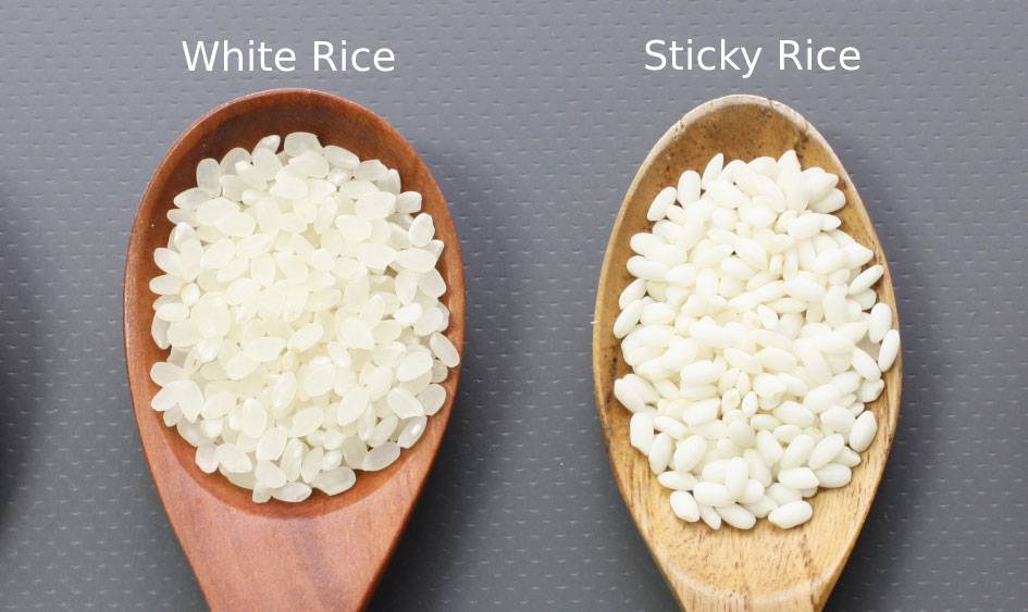 Sticky Rice vs White Rice: A Comprehensive Comparison of Two Staple ...