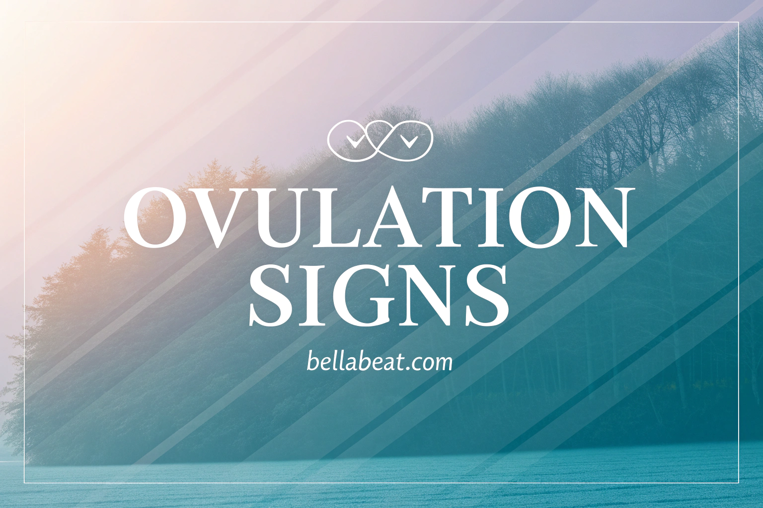 Ovulation Signs Bellabeat.com: Your Guide to Understanding Your Fertile ...