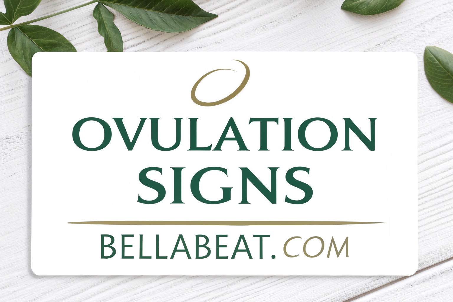 Ovulation Signs Bellabeat.com: Your Guide to Understanding Your Fertile ...