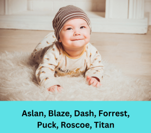 Fairy Name for Boy Bellabeat.com: Enchanting and Unique Choices for ...