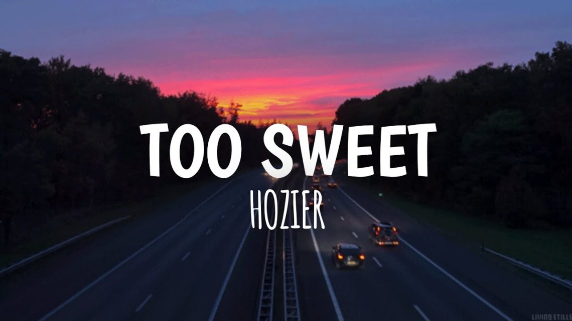 Hozier Too Sweet Lyrics: A Deep Dive into the 2024 Hit Song - Vibro Media