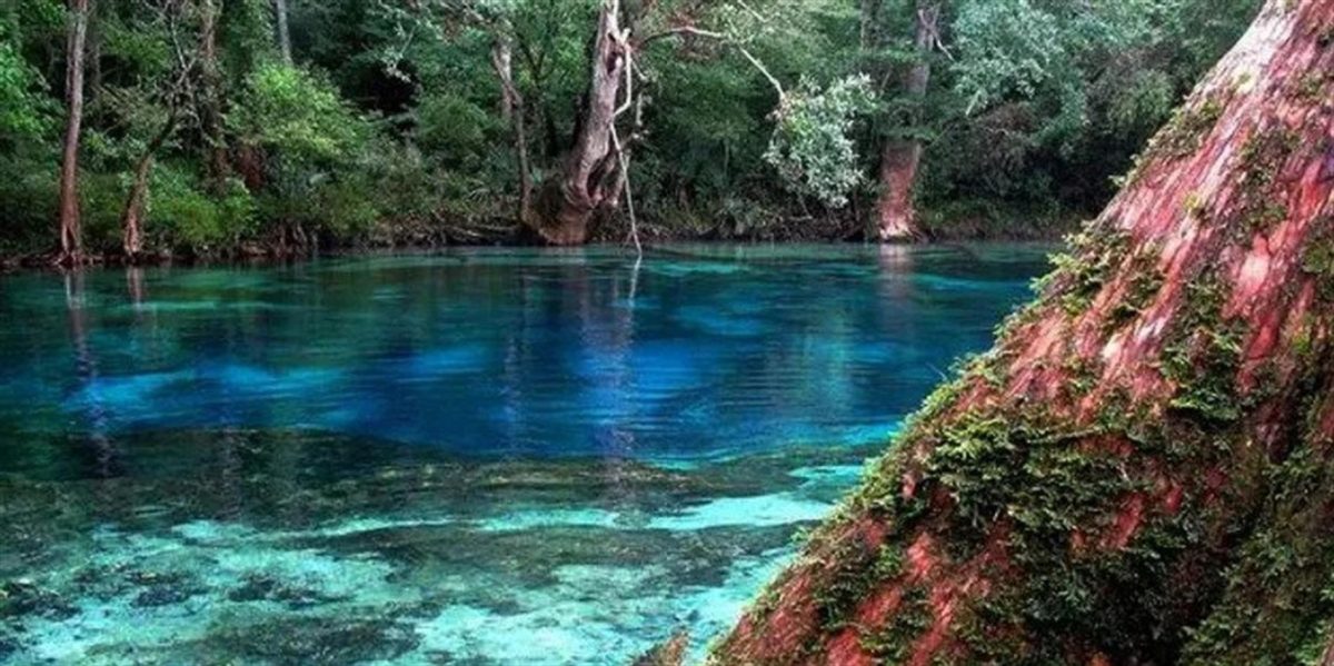 Springs Florida Panhandle: Your Thrilling Guide to Nature’s Hidden ...