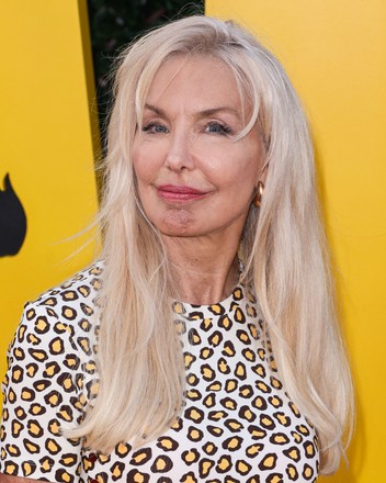 Heather Thomas Net Worth: Biography, Career, and Legacy in 2025 - Vibro ...
