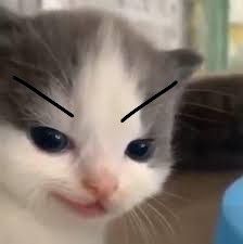 Evil Smile Meme: Master Mischievous Charm and Savage Confidence in 2025 ...