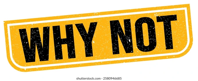 Why Not? A Simple Explanation 2026